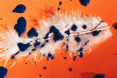 Free Picture Feather With Blue Acrylic Paint Splash On It On Orange