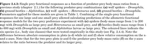 43 Single Prey Functional Responses As A Function Of Predator Prey