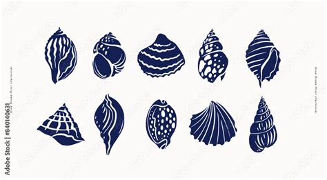 Large Collecon Of Shells Linocut Empty Shells Of Different Shapes Coils Spirals Ancient Large Collecon Of Shells Linocut Empty Shells Of Different Shapes Coils Spirals Ancient