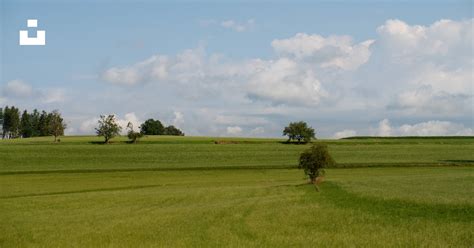 배경에 나무와 구름이 있는 녹색 들판 사진 Unsplash의 무료 프라이하이트 이미지
