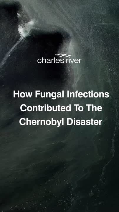 Frank Eichmann Mba On Linkedin Microbiology Microorganisms