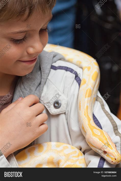 Boy Python Image And Photo Free Trial Bigstock