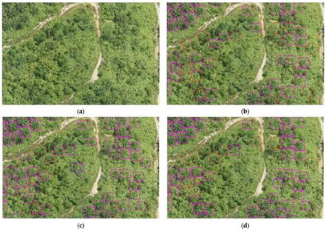 Large Scale Oil Palm Trees Detection From High Resolution Remote Sensing Images Using Deep Learning