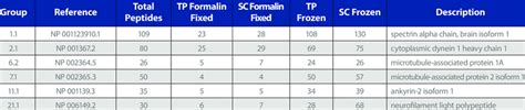 Peptide Sequence Coverage And Spectral Counts For Abundant Brain Proteins Download Table