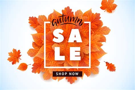 가을 가을 시즌 세일 배너 다채로운 가을 잎과 광고 할인 텍스트 벡터 배경 디자인 10월에 대한 스톡 벡터 아트 및 기타 이미지 10월 11월 9월 Istock