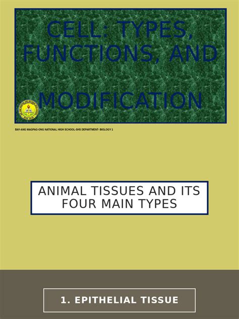 Week 2 Cell Types Functions Modification Pdf