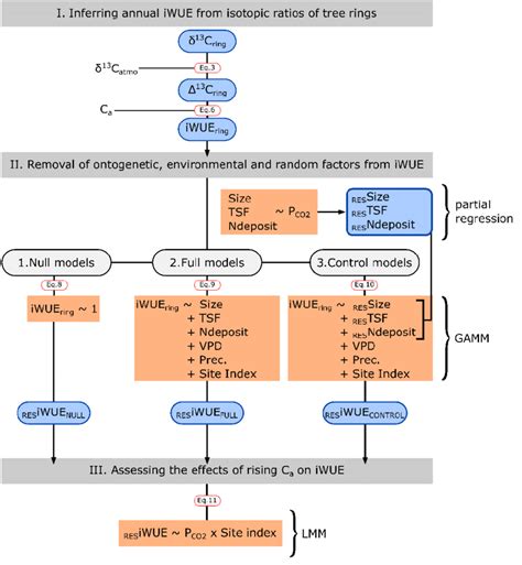 2 Workflow Diagram Summarizing The Computation Of Intrinsic Water Use