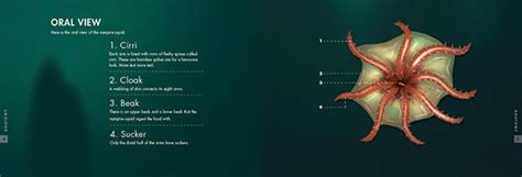 Vampire Squid On Behance