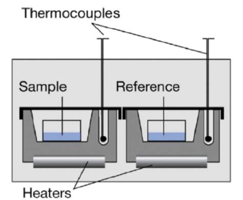 Lecture 22 DSC Flashcards Quizlet
