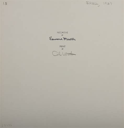 Edward Weston 18861958 ‘nautilus Shell 1927 Ai927453