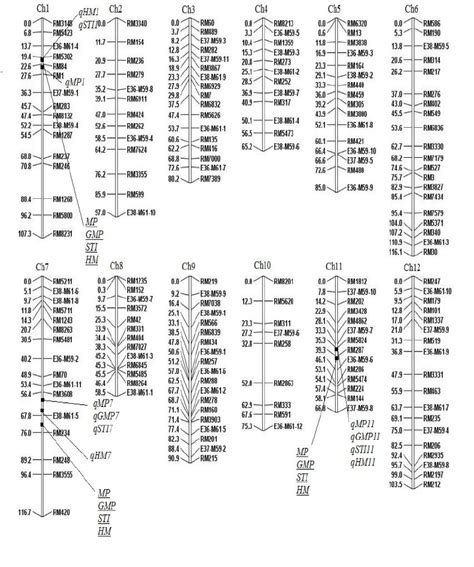 Qtls Identified For Drought Tolerant Indices Based On Single And Download Scientific Diagram