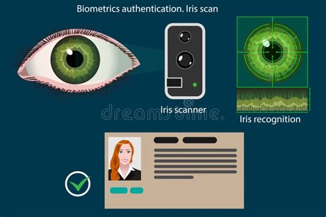 Iris Scan Biometric Authentication Method Diagram Vector Infographics Stock Vector