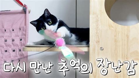 노는 게 제일 좋아 Youtube