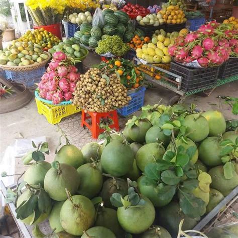 충남다문화뉴스 [논산다문화] 베트남 과일 세계 시장을 사로잡다