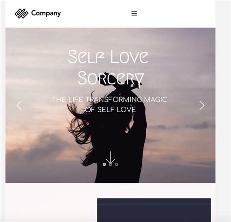 Theme Is Overriding Brizy Brizy Help Center