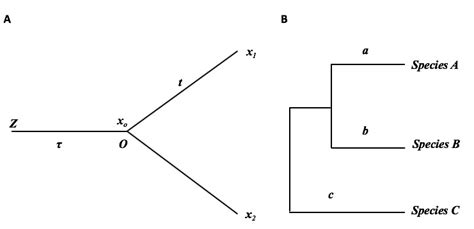 Chapter 4 Pairwise Expression Distance And Expression Tree Making Tutorial Use Treeexp For