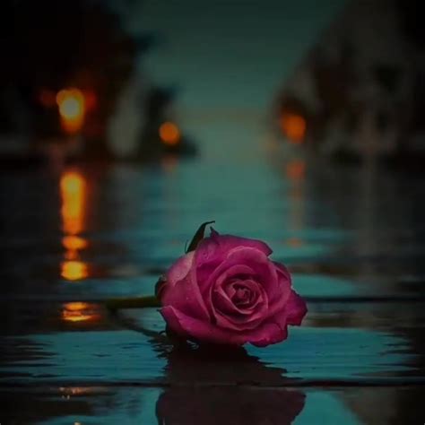 هنوز حوصله اے هست گرچه درگیرم فیلم ویسگون