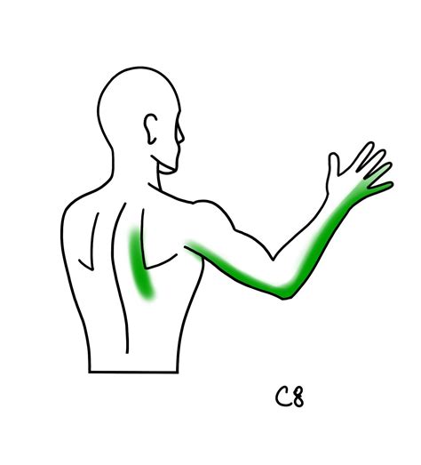 Mustafa Khan Md Complex And Minimally Invasive Spine Surgery [milwaukee]