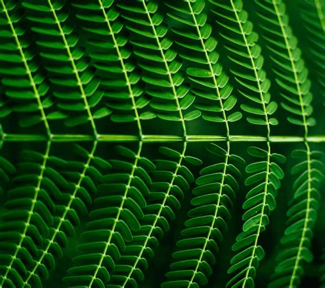 UX Vs UI Design Key Differences You Should Know PostIndustria