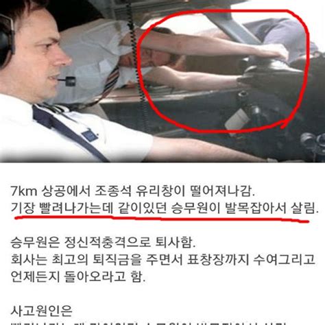 영화 항공기 승무원 자진 퇴사하게 만든 사건 댓글에 본문 Facebook