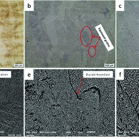 optical and sem micrographs top bottom of lens fabricated ti 64