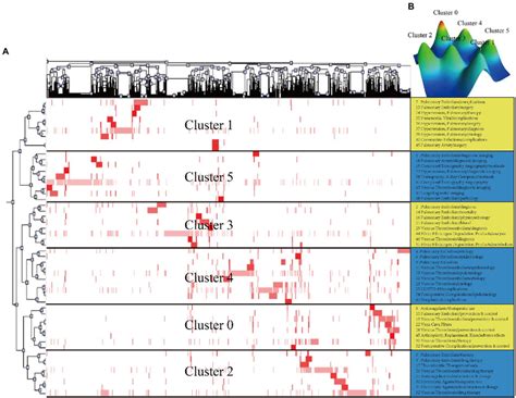 biclustering analysis of 52 high frequency main mesh terms mesh