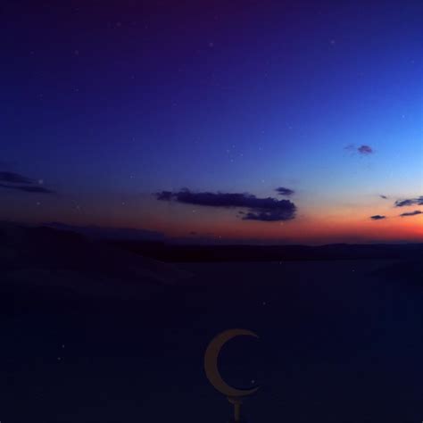 Irum Nadeem On Linkedin Ramadan2024 Insignia