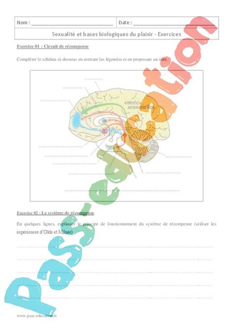 Sexualité et bases biologiques du plaisir Première Exercices cours évaluation révision pdf