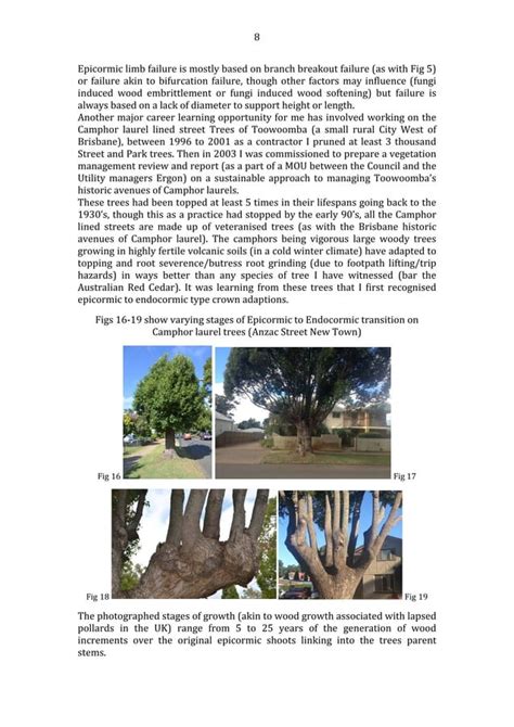 Veteran Tree Risk Management Via RNE Part 1 Background PDF