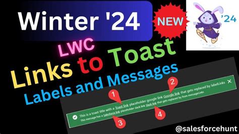Salesforce Winter24 Lwc ♨️link To Toast Label And Message ♨️