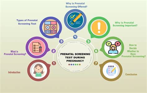 Prenatal Screening Tests During Pregnancy Intakelearn
