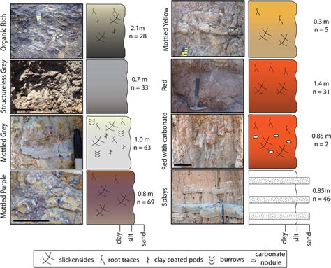 Of Lithologic Properties For Overbank Lithofacies Field Images And