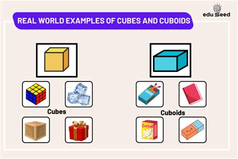 Cuboid Objects Examples Quiz And Worksheet Properties Of Cuboid Shapes Cuboid Objects Examples Quiz And Worksheet Properties Of Cuboid Shapes