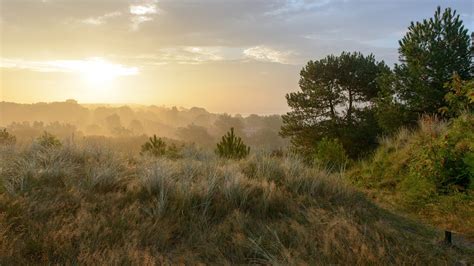 کلکسیونی زیبا عکس پس زمینه برای کامپیوتر و تصویر زمینه لپتاپ