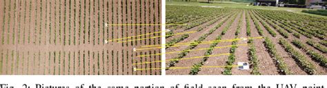 Figure 1 From Collaborative Uav Ugv Environment Reconstruction In Precision Agriculture