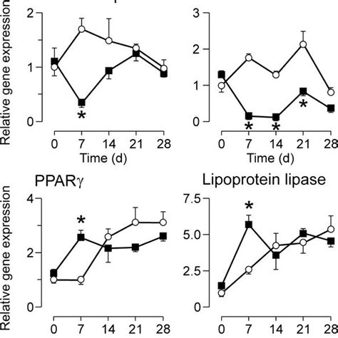 Cells In Bone Nodules Express P2x7 Receptors Cultures Of Rat Calvarial