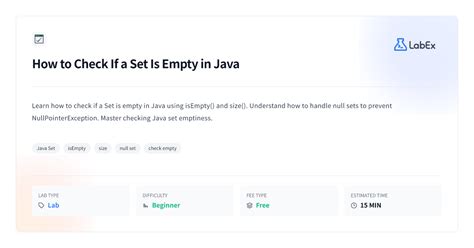 Java Set 비어 있는지 확인 Isempty Size 사용법 Labex
