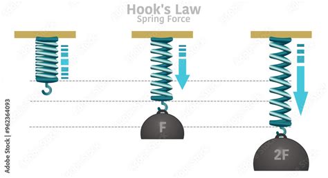 Hookes Law Hookes Amount Of Force Applied To An Elastic Object Is Proportional To How Far It