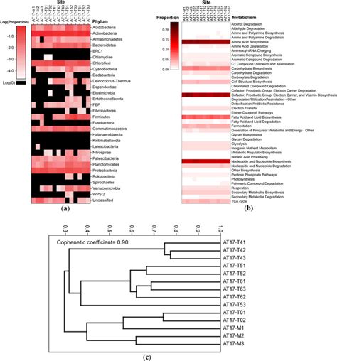 A The Heatmap Illustrating Phylum Level Microbial Composition On
