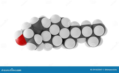 Cholesterol Molecule Principal Sterol Molecular Structure Isolated 3d