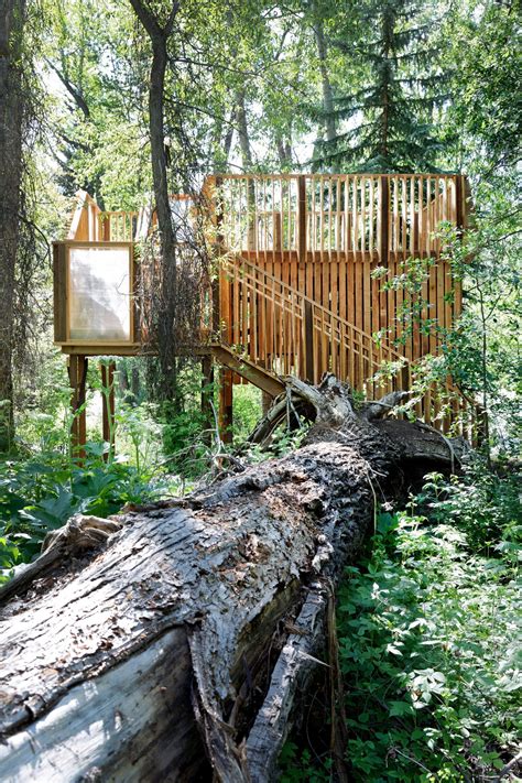 Charles Cunniffe Spruces Up Treehouse In Aspen With Local Assistance