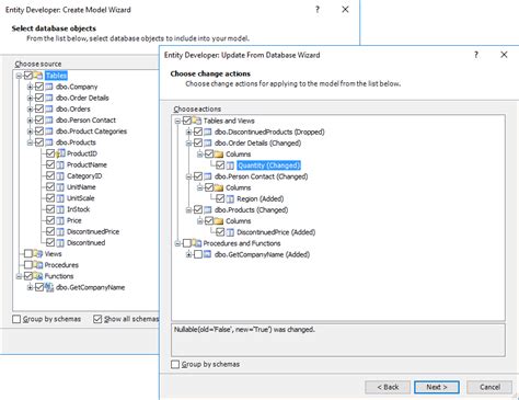 Entity Developer Features Overview
