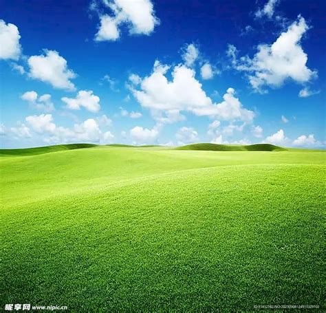 草地设计图图片素材其他设计图库昵图网