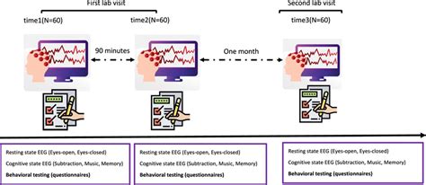 Overall Study Design The Dataset Includes EEG Data And Behavioural Download Scientific Diagram