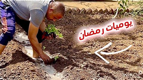 من جد وجد ومن زرع حصد 👌يوميات رمضان وفي البيت الاخضر 🛖 Youtube
