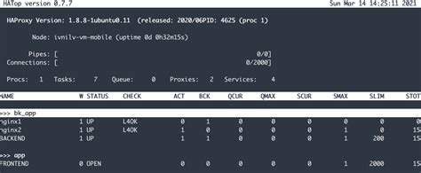 How To Switch Between Different Backends In Haproxy Using Hatop Ivan