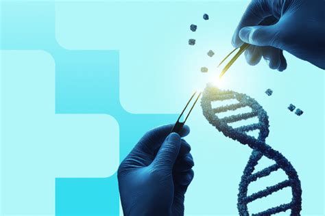 Characterization Of Crispr Cas9 Rankl Knockout Mesenchymal Stem Cell Clones Based On Cytenas F