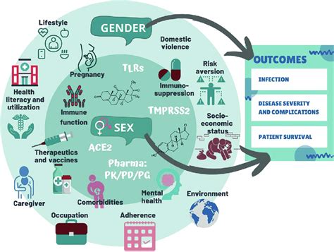The Roles Of Sex Gender And Transplantation In Coronavirus Disease Download Scientific