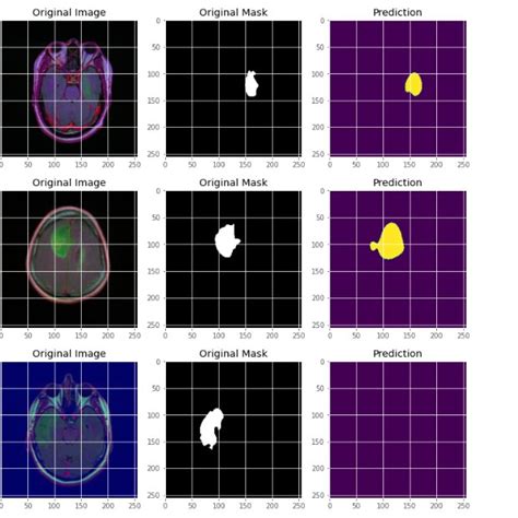 Segmentation Results Of The Segnet Architecture Download Scientific