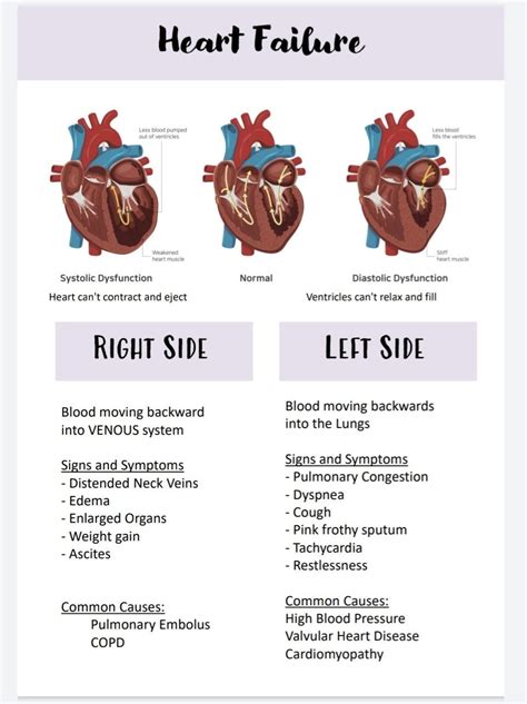 5 Tips For Performing A Nursing Health Assessment Of The Nervous System